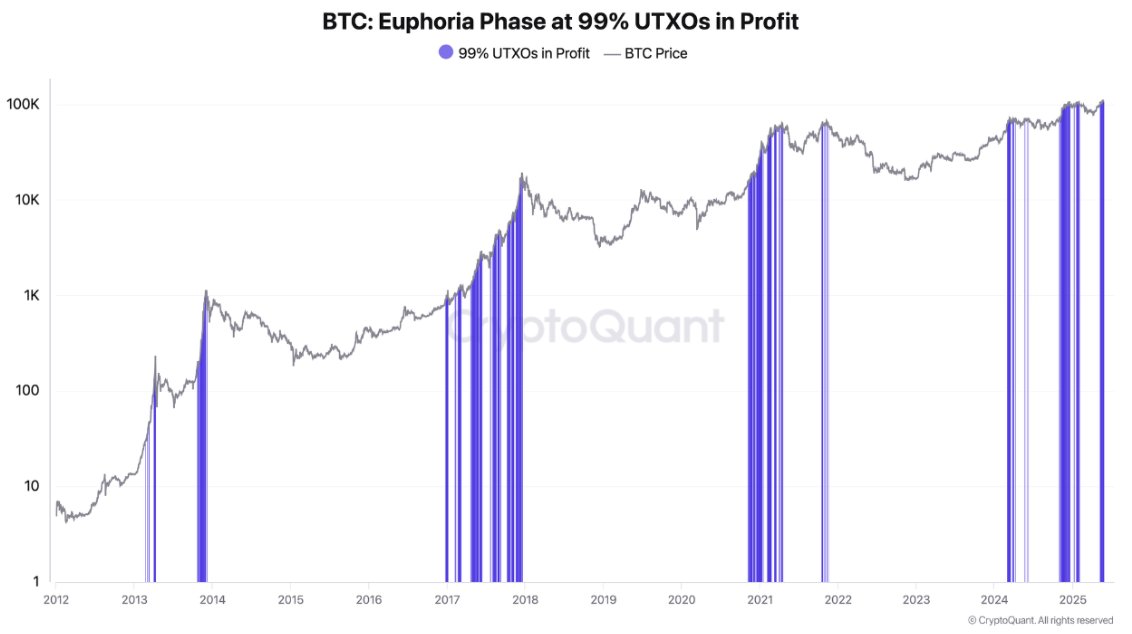Bitcoin Hits Critical 99% Profit Threshold As Whales Offload ...